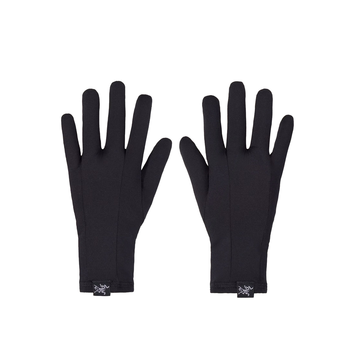 Arcteryx Rho Glove | Accessoires » Buy online now!