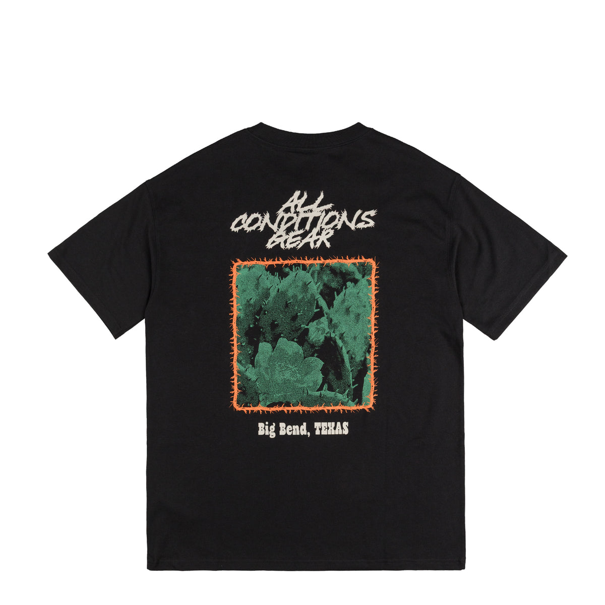 Nike ACG Cactus Tee | Apparel » Buy online now!