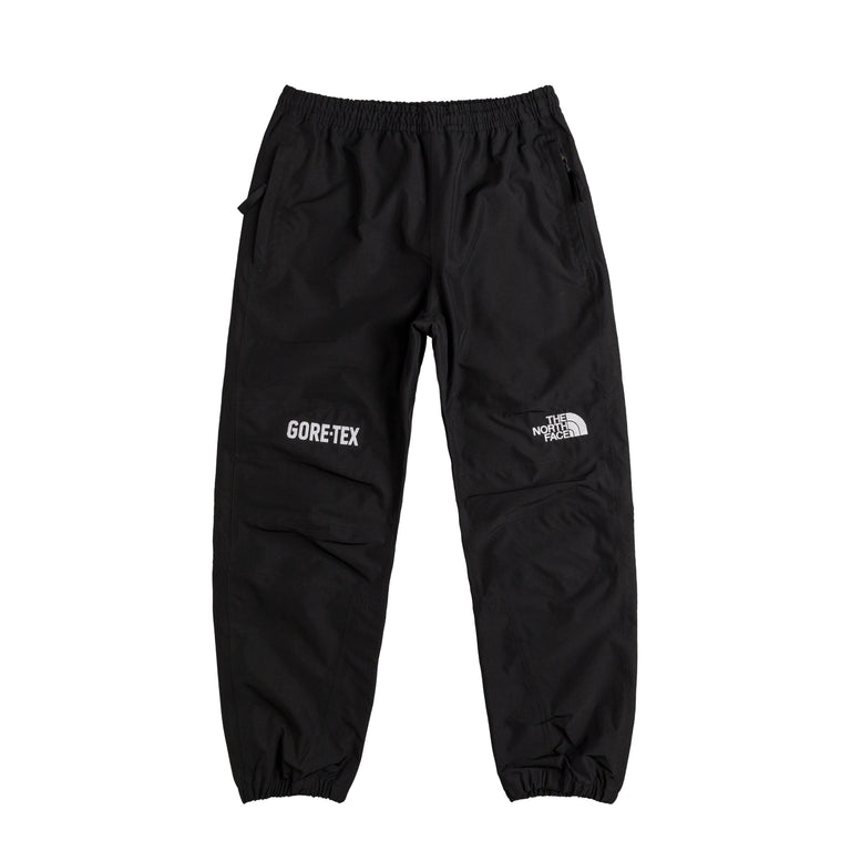 The North Face Gore Tex Mountain Pant jetzt online kaufen