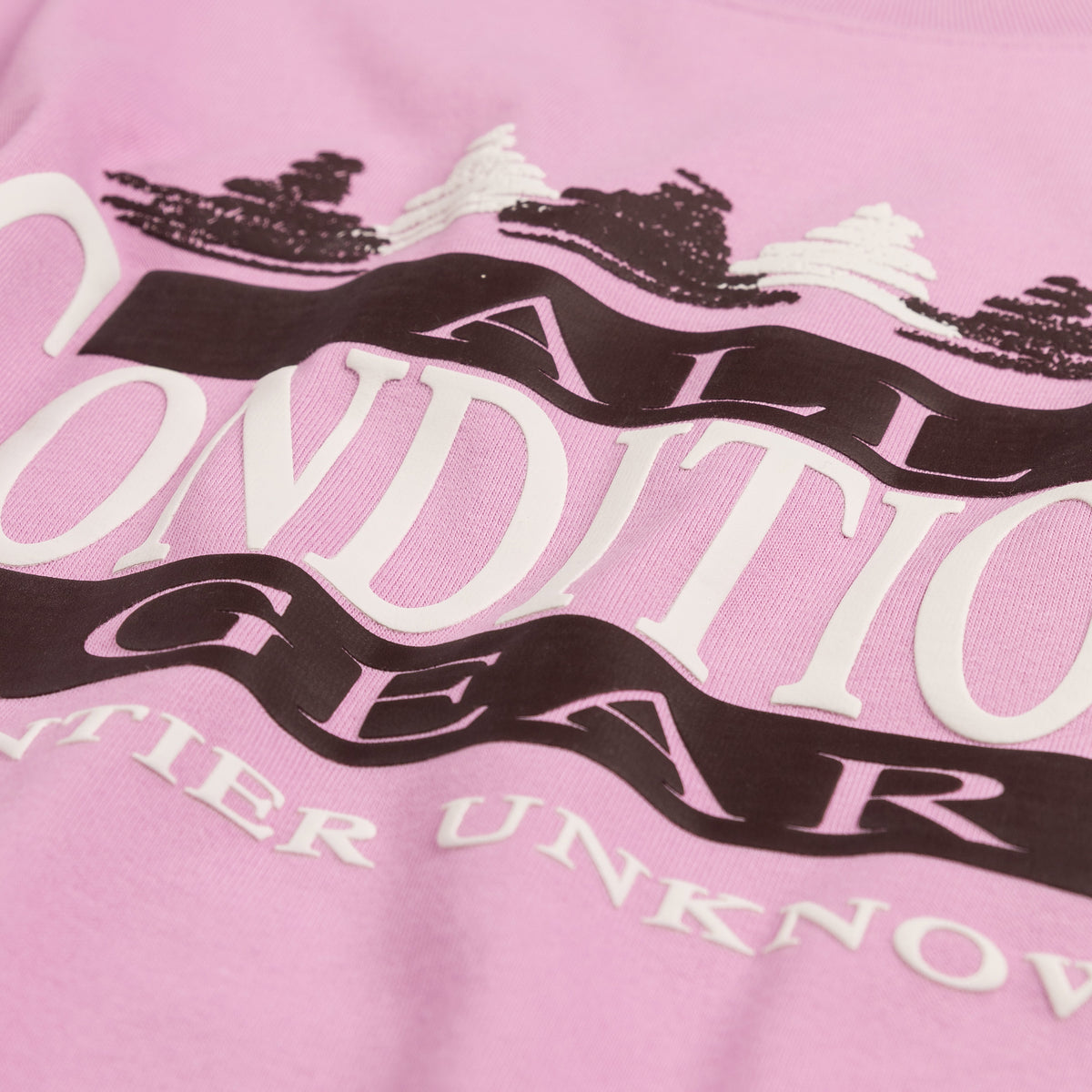 Nike ACG OC Frontier Tee » jetzt online kaufen!